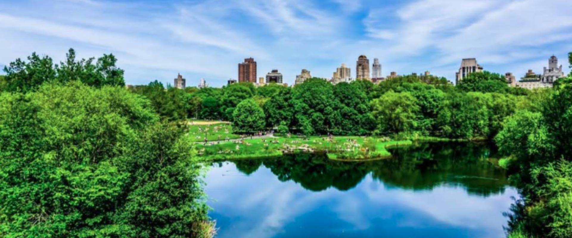 Central Park Carriage Rides | Official Booking Site for Central Park ...